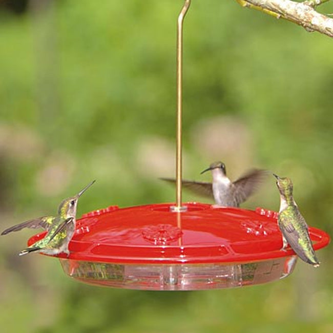 Aspects HummZinger Excel Hummingbird Feeders, Pack of 6 – BirdYard Direct