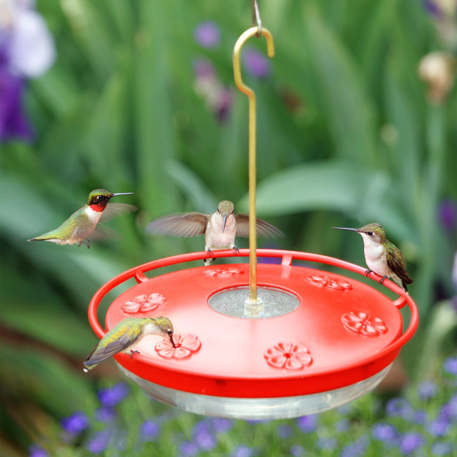 Apects High View HummZinger Excel Hummingbird Feeder, 16 oz. – BirdYard ...