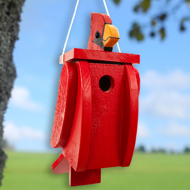 Amish Crafted Cardinal Shaped Novelty Bird House – BirdYard Direct