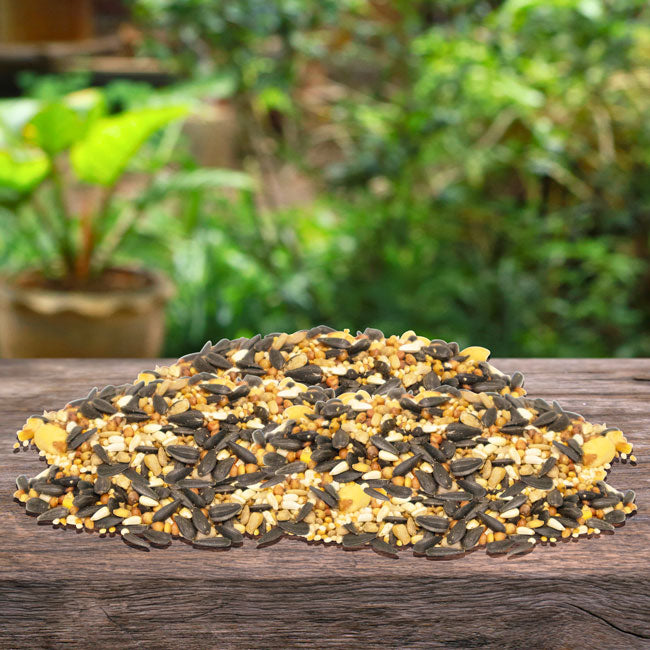 Wild Bird Seed Mix, Firebird Blend, 25 lbs. – BirdYard Direct
