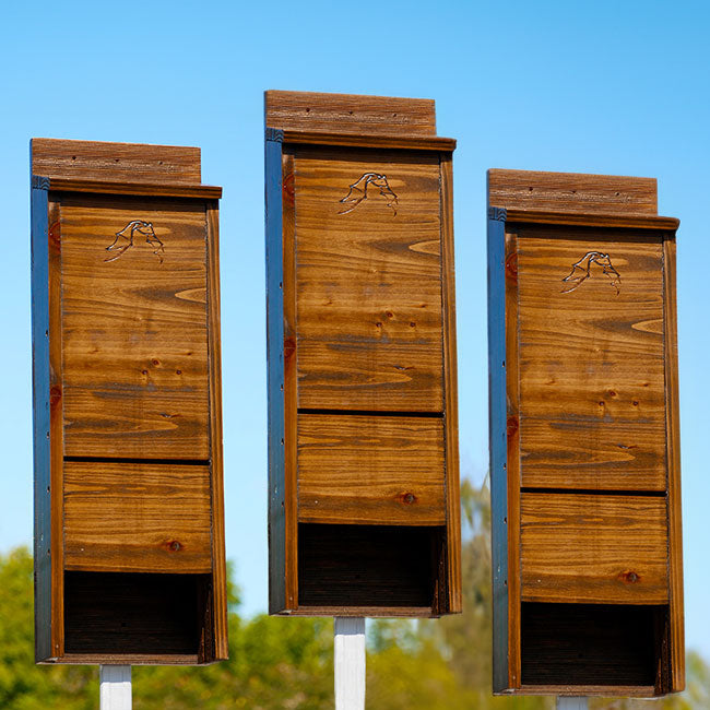 BestNest Premium Stained Bat Houses, Brown, 65 bats, 3 Pk – BirdYard Direct