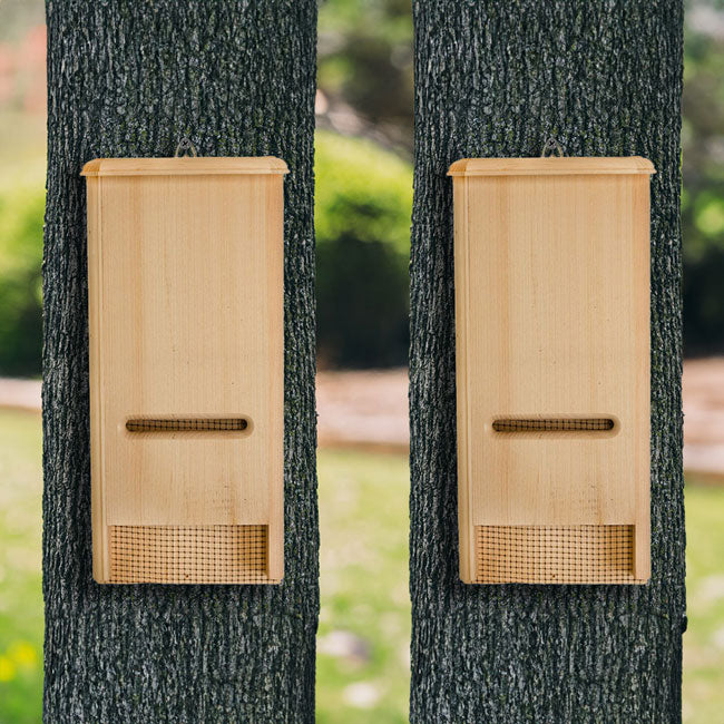 Coveside "Bat"chelor Pad Bat Houses, 30 bats, Pack of 2 – BirdYard Direct