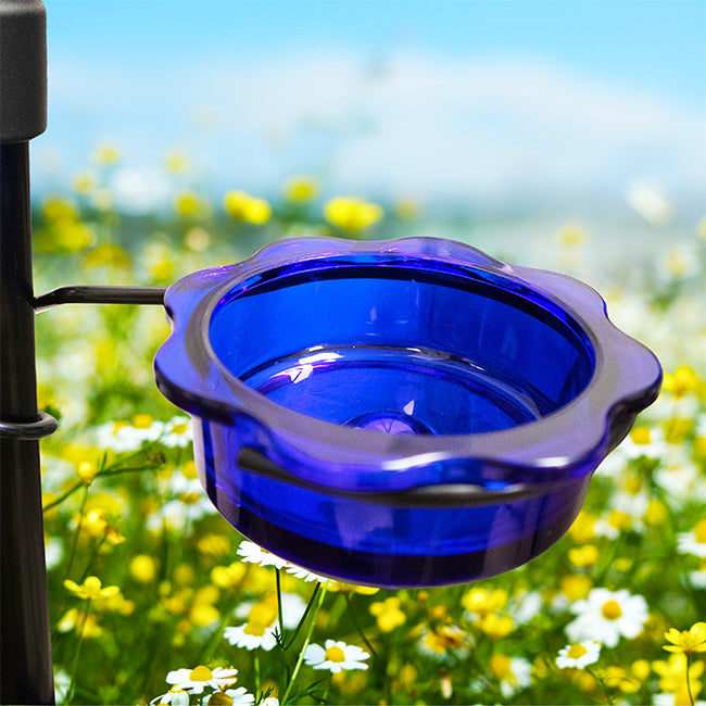 Erva Quick Connect Arm with Glass Feeding Dish, Blue – BirdYard Direct