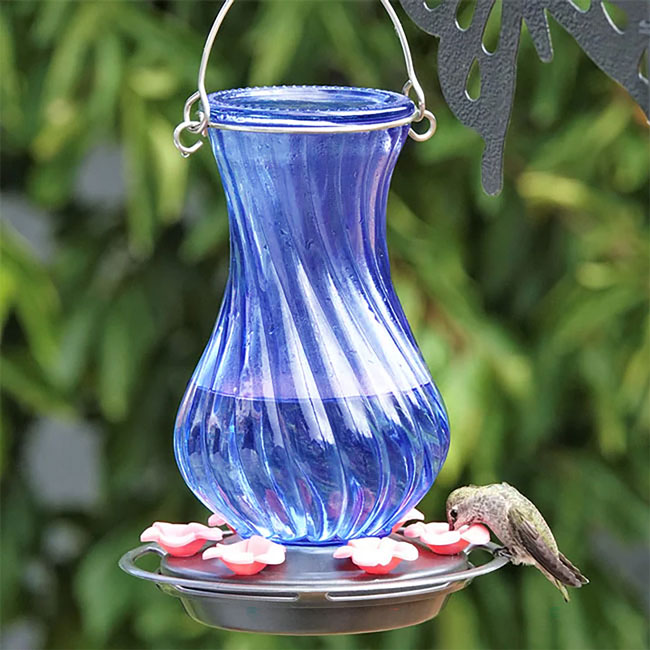 Nature's Way Perfect Pitcher Hummingbird Feeder, 29 oz. – BirdYard Direct