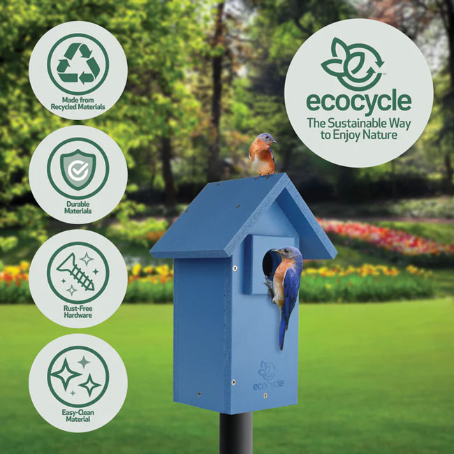 Nature's Way Bluebird Bungalow Recycled Plastic Bird House – BirdYard Direct