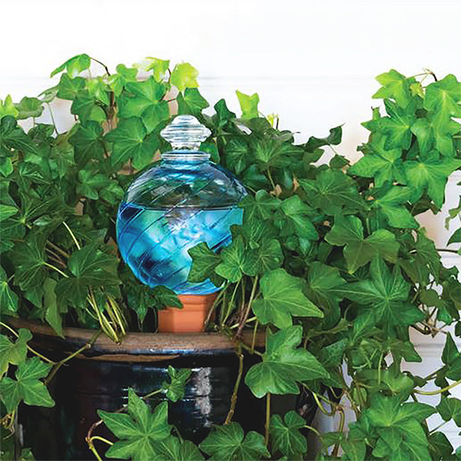 Plant Nanny Spiral Watering Globe w/ Stake, 12 oz., Aqua – BirdYard Direct