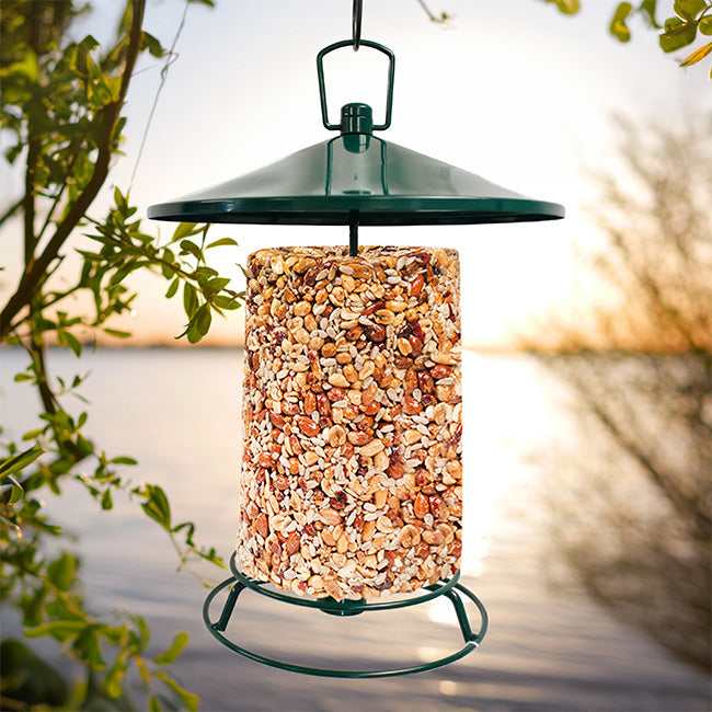 Pine Tree Farms Classic Seed Log Feeder, Green – BirdYard Direct
