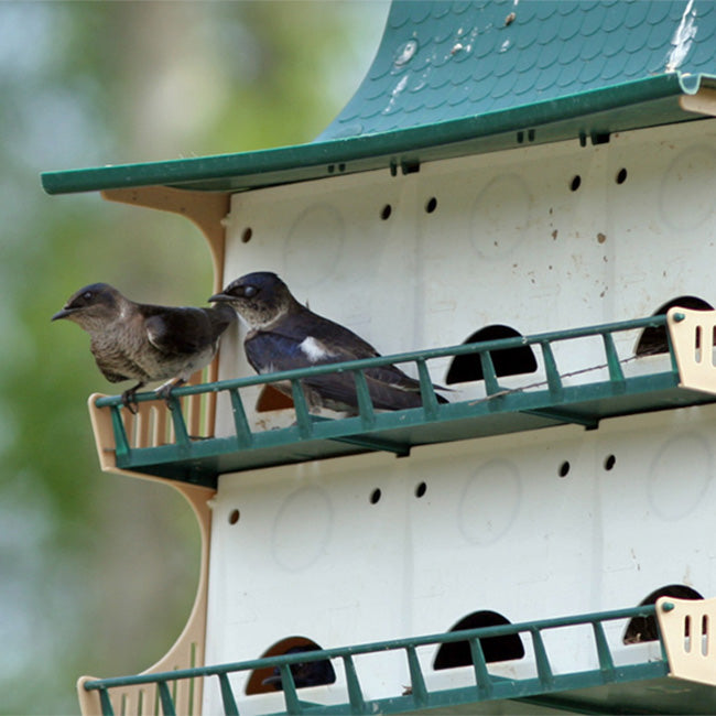 S&K Purple Martin Houses, Pack of 4, 48 Rooms – BirdYard Direct