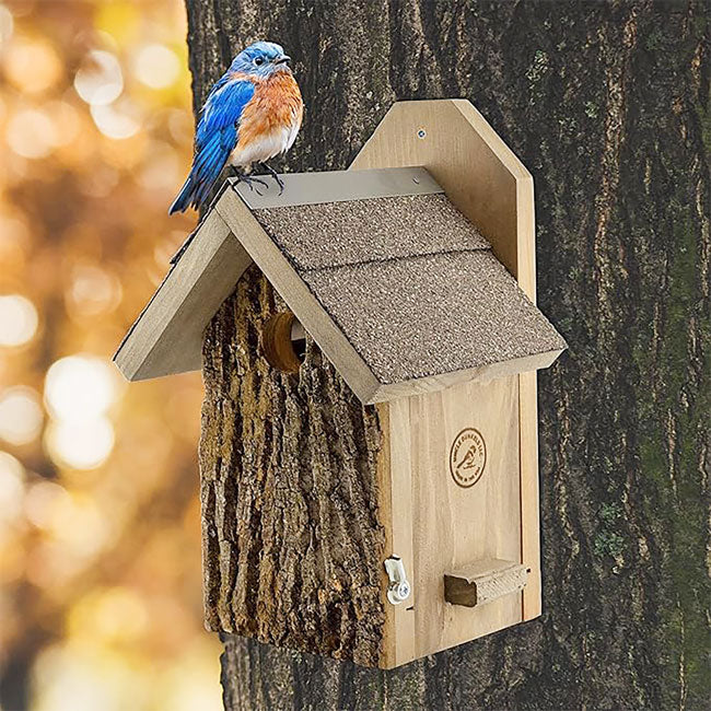 Uncle Dunkel's Bark Clad Ultimate Bluebird House – BirdYard Direct