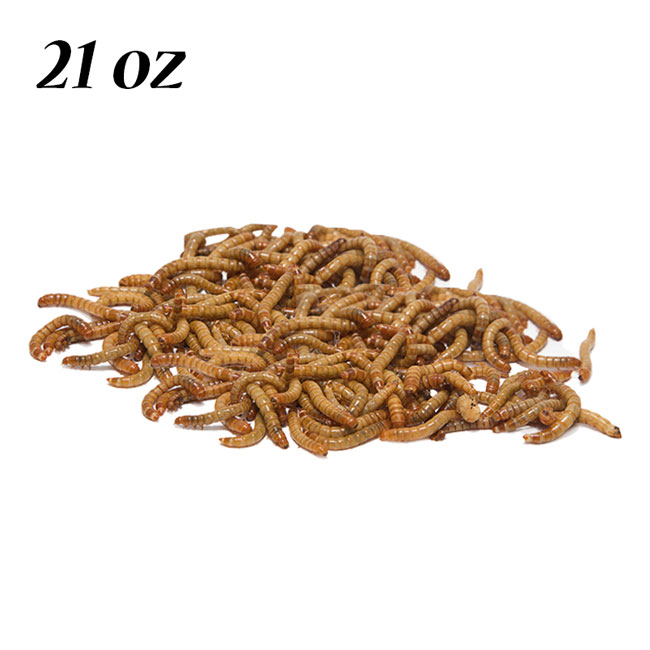 Wildlife Sciences Dehydrated Mealworms, 21 oz. – BirdYard Direct