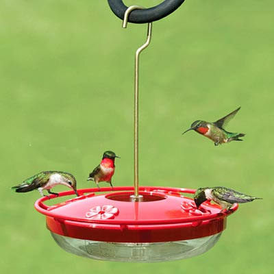 Aspects High View HummZinger Hummingbird Feeder, 12 oz. – BirdYard Direct