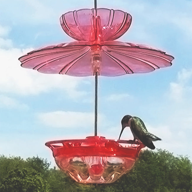 Aspects HummBlossom Accessory Kit – BirdYard Direct