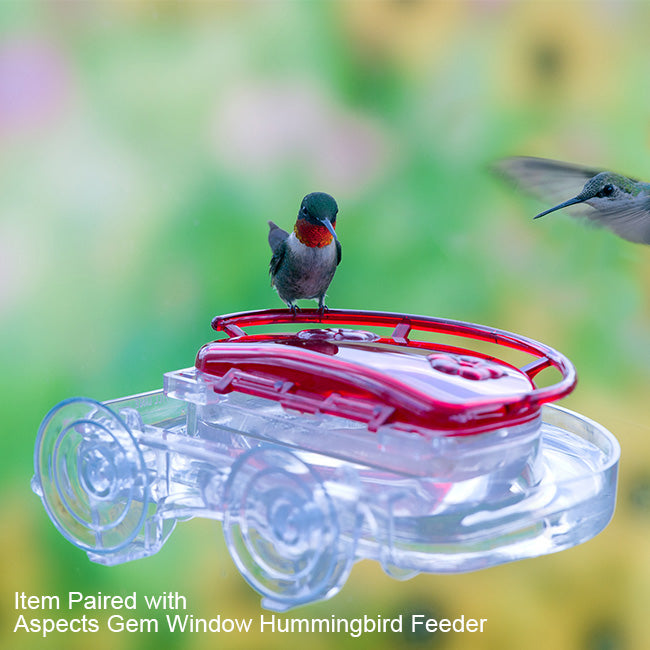 Aspects Gem Anti-Insect Accessory Kit – BirdYard Direct