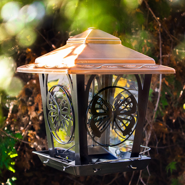 Audubon Coppertop Butterfly Accent Bird Feeder – BirdYard Direct