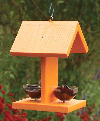 Audubon Going Green Oriole Feeder with Fruit Dishes – BirdYard Direct