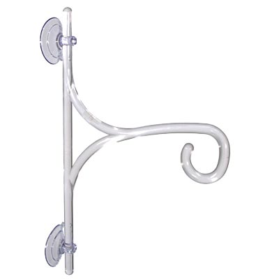 Audubon Window Glass Hanger, Clear, 11" – BirdYard Direct