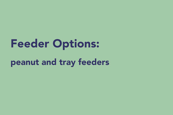 Raw Peanut Splits, 50 lbs. – BirdYard Direct