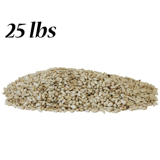 Safflower Seed, 25 lbs. – BirdYard Direct