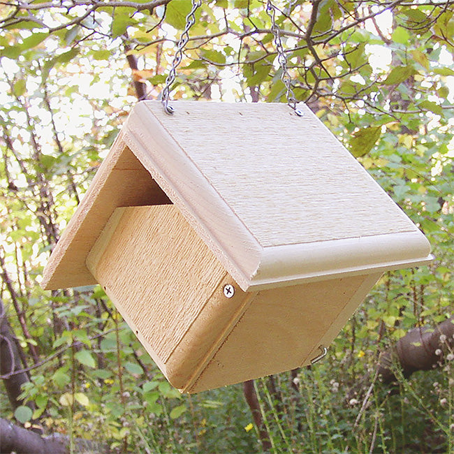 Coveside Carolina Wren Bird House – BirdYard Direct