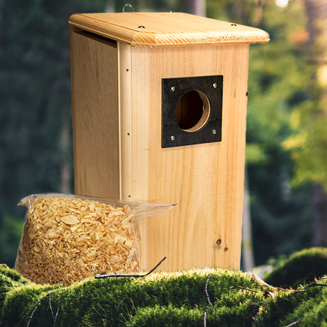 Coveside Flicker House – BirdYard Direct