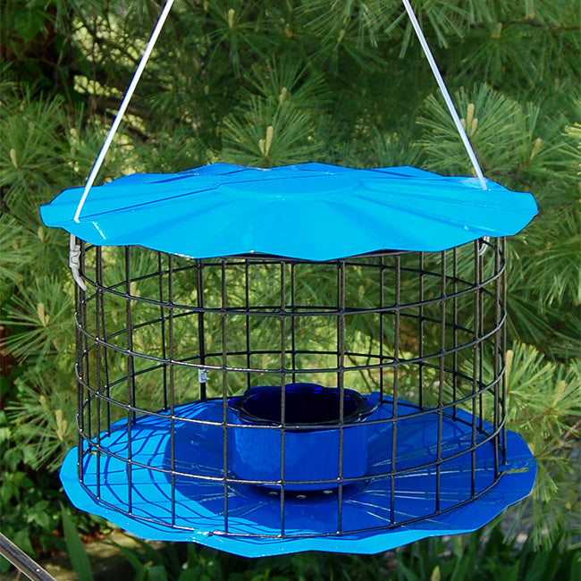 Erva Caged Bluebird Feeder, Blue – BirdYard Direct