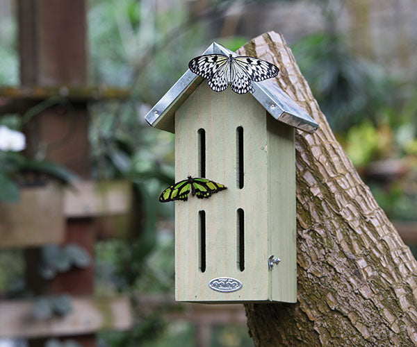Esschert Design Classic Butterfly House – BirdYard Direct