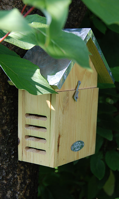 Esschert Design Ladybug House – BirdYard Direct