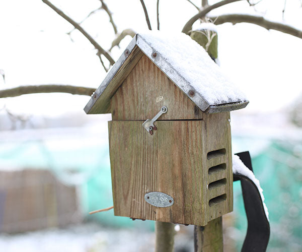 Esschert Design Ladybug House – BirdYard Direct