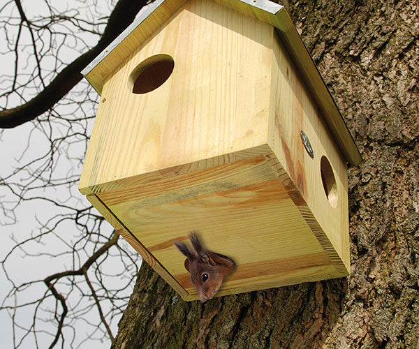 Esschert Design Squirrel House – BirdYard Direct