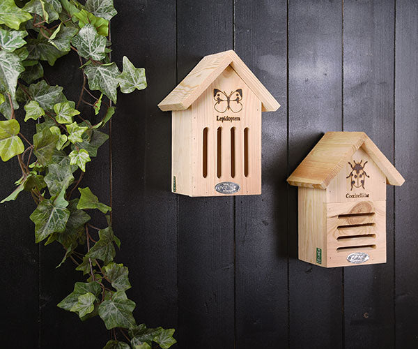 Esschert Design Basic Ladybug House – BirdYard Direct