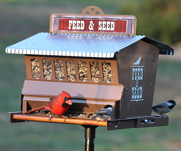 Heritage Farms Absolute Feed & Seed Weight Sensitive Feeder – BirdYard ...