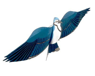 Jackite Blue Jay Kite, 28" Wingspan – BirdYard Direct
