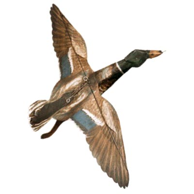 Jackite Mallard Duck Drake Kite, 32" Wingspan – BirdYard Direct