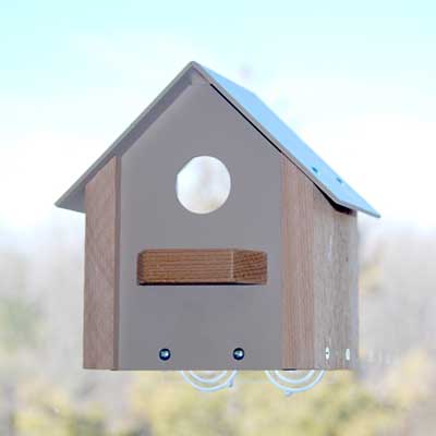 Looker Products Window Bird House – BirdYard Direct