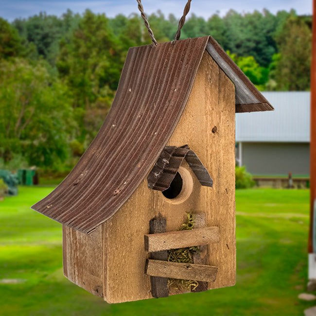 Nature Creations Kooky Chickadee Cottage, Natural – BirdYard Direct