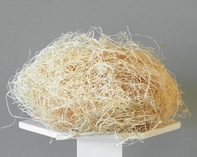 Panacea Natural Excelsior, 120 cubic inches – BirdYard Direct