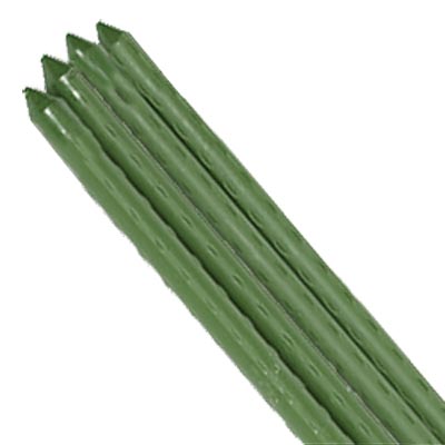 Panacea Coated Plant Stake, Green, 24", Pack of 50 – BirdYard Direct