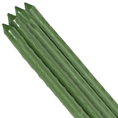 Panacea Heavy Duty Coated Plant Stake, Green, 6', Pack of 25 – BirdYard ...