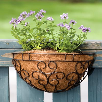 Panacea Cameo Series Wall Planter, Brown, 16"L – BirdYard Direct