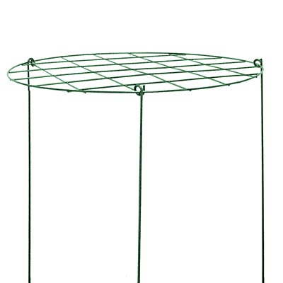 Panacea Grow-Through Plant Supports, 14" dia., Pack of 24 – BirdYard Direct