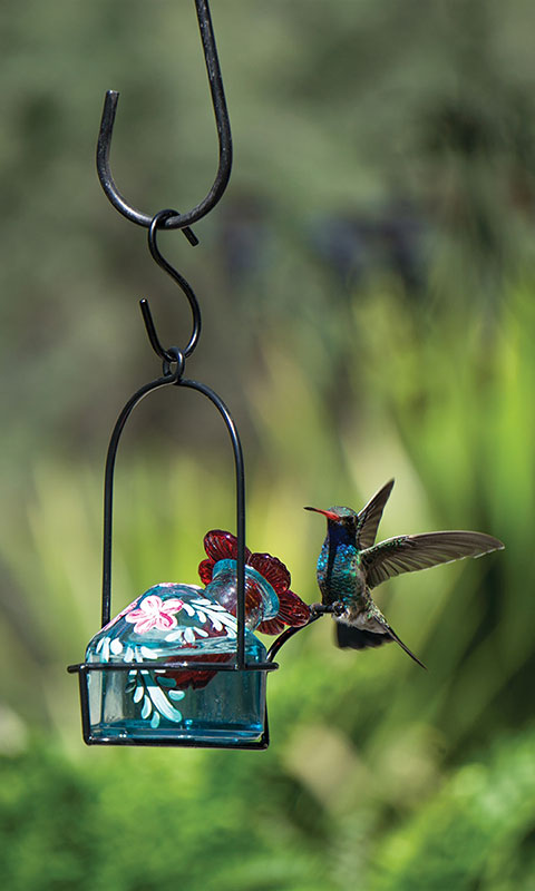 Parasol Botanica Lunch Pail Hummingbird Feeder, Aqua, 3.5 oz – BirdYard ...