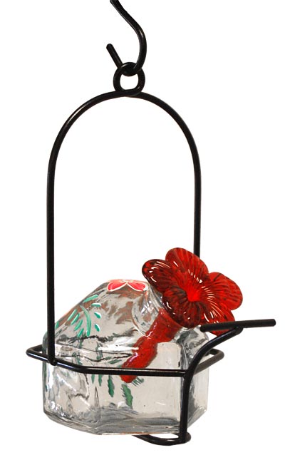 Parasol Botanica Lunch Pail Hummingbird Feeder, Clear, 3.5oz – BirdYard ...