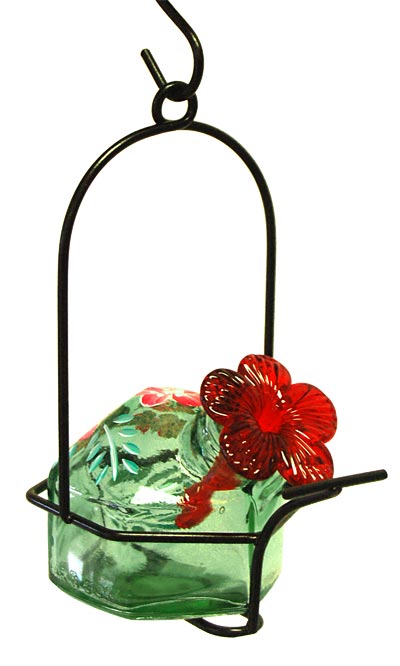 Parasol Botanica Lunch Pail Hummingbird Feeder, Green, 3.5oz – BirdYard ...
