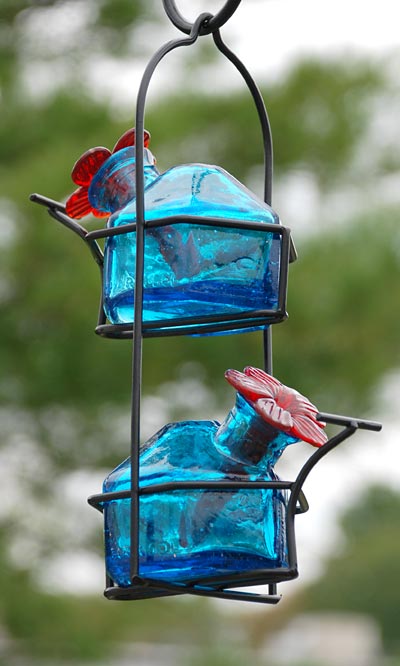 Parasol Lunch Pail Hummingbird Feeder, Small, Aqua, 7 oz. – BirdYard Direct