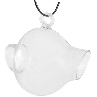 Parasol Glass Mealworm Feeder, Clear – BirdYard Direct