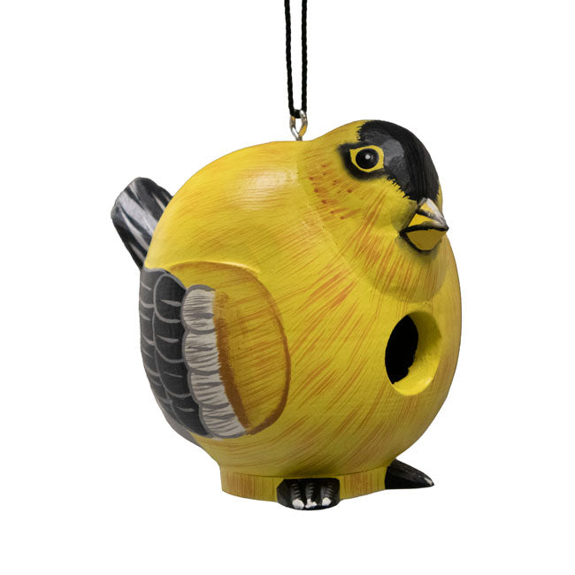 Songbird Essentials Gord-O Bird House, Goldfinch – BirdYard Direct