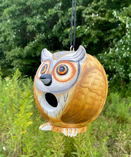 Songbird Essentials Gord-O Bird House, Owl – BirdYard Direct