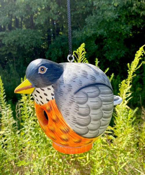 Songbird Essentials Gord-O Bird House, Robin – BirdYard Direct