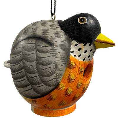 Songbird Essentials Gord-O Bird House, Robin – BirdYard Direct