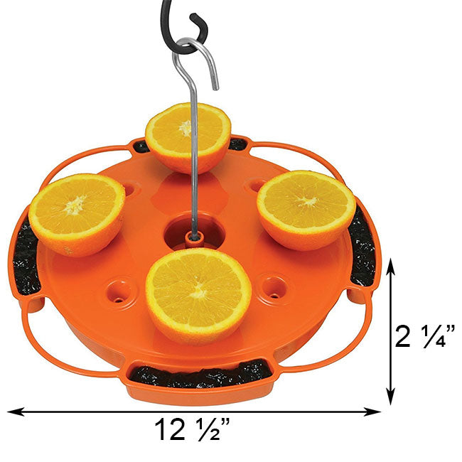 Songbird Essentials Ultimate Oriole Feeder, 32 oz. – BirdYard Direct